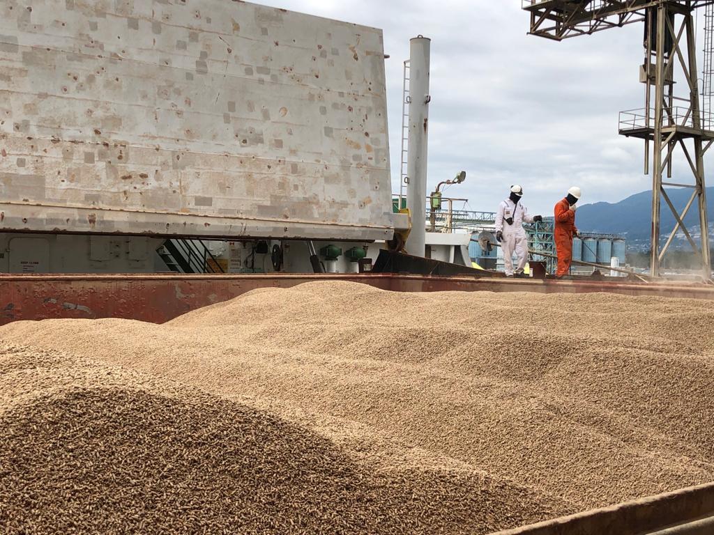 Wood Pellet ship bound for Japan - Canaan Group